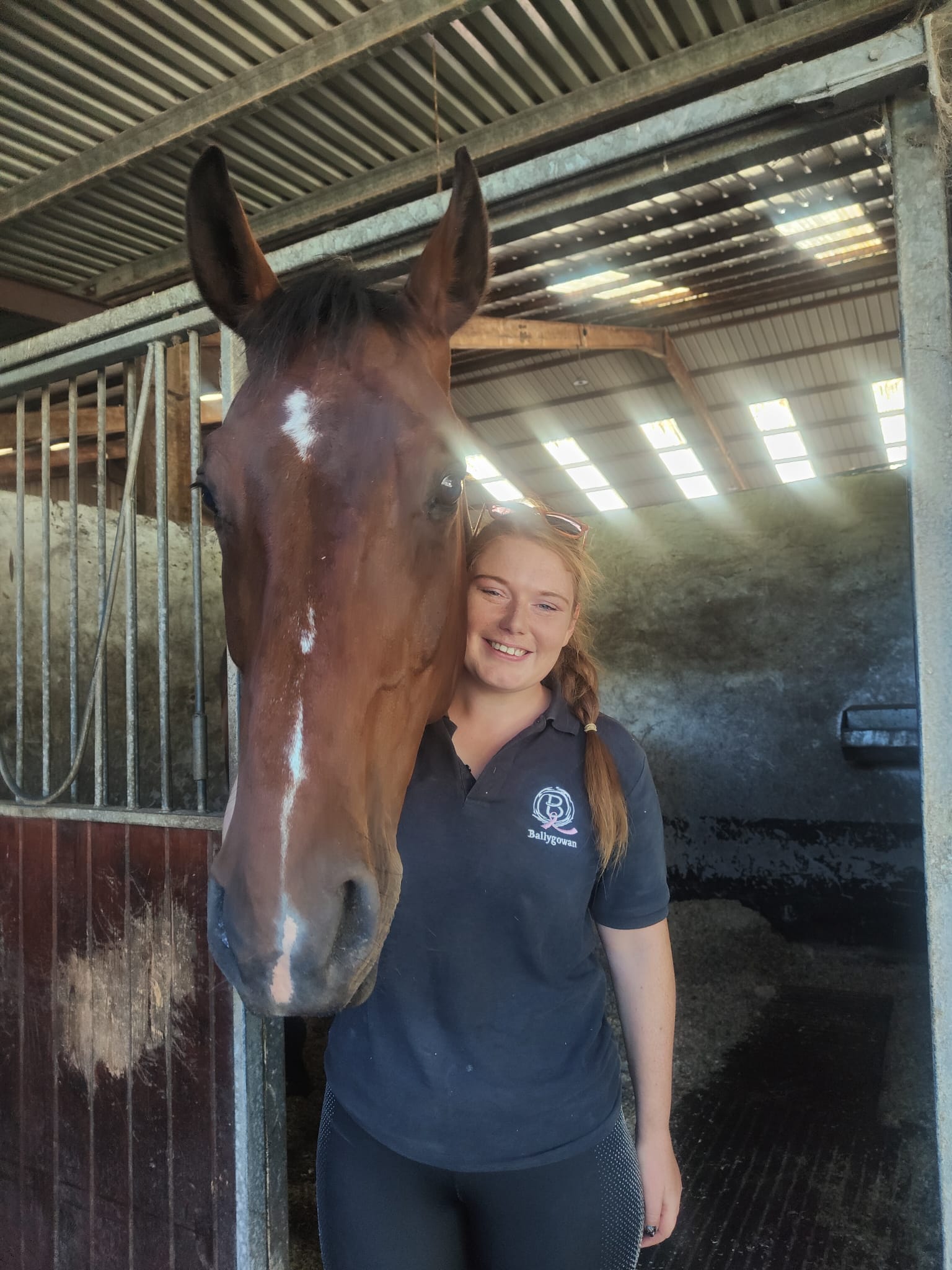 Riding School | FarmHill Stables | Riding School & Livery Yard